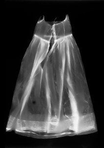 Longer than Life | Anne Ferran