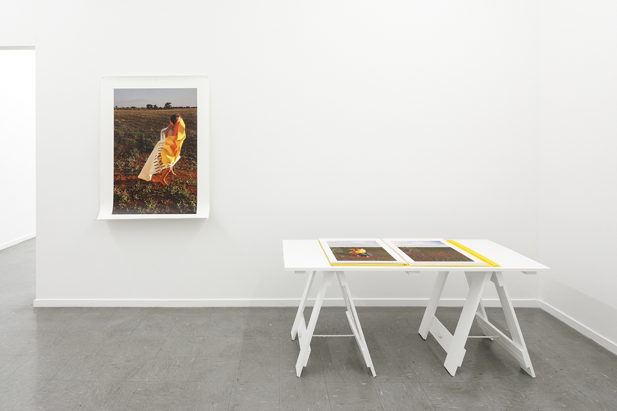 Birdlike | Anne Ferran